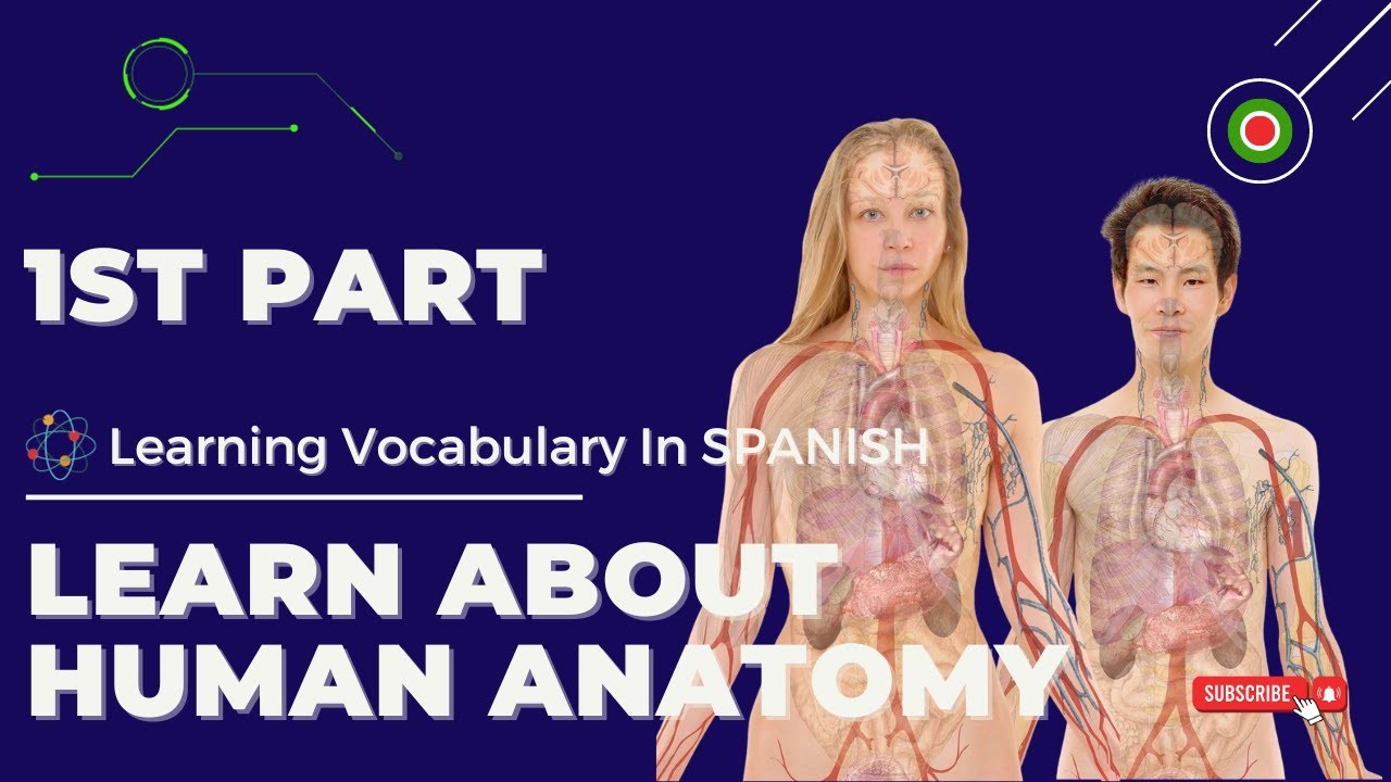 😃  Vocabulario en Español de ANATOMIA Y FISIOLOGÍA