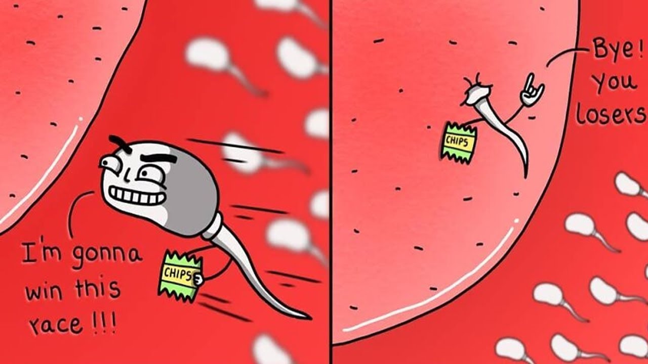 Funny Comics About Everyday Situations And Silly Puns By CarbComics