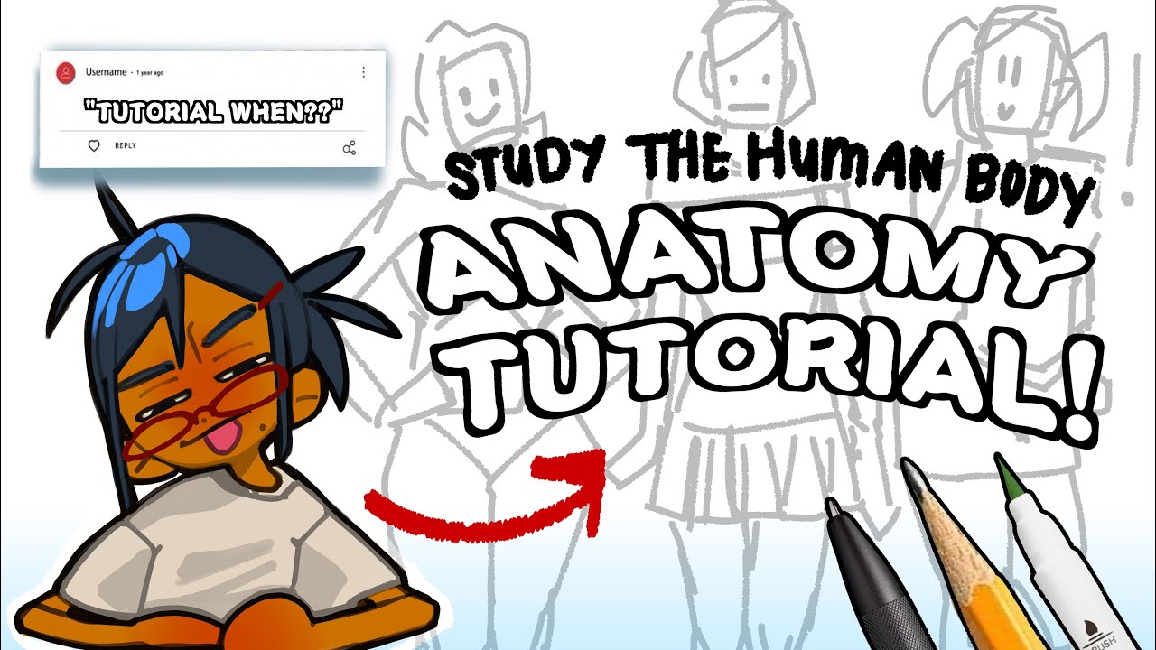HOW TO DRAW ANATOMY | breaking down the steps to drawing bodies 🌱
