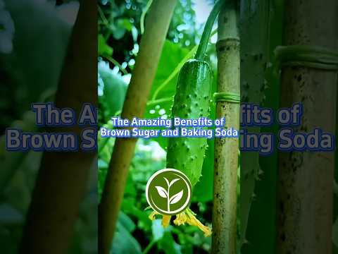 The amazing benefits of brown sugar and Baking soda #shortvideo #youtubeshorts #plants #howto