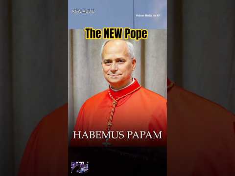 The New Pope, Leo XIV #pope #vatican #newpope