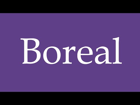 How To Pronounce ''Boreal'' Correctly in Spanish