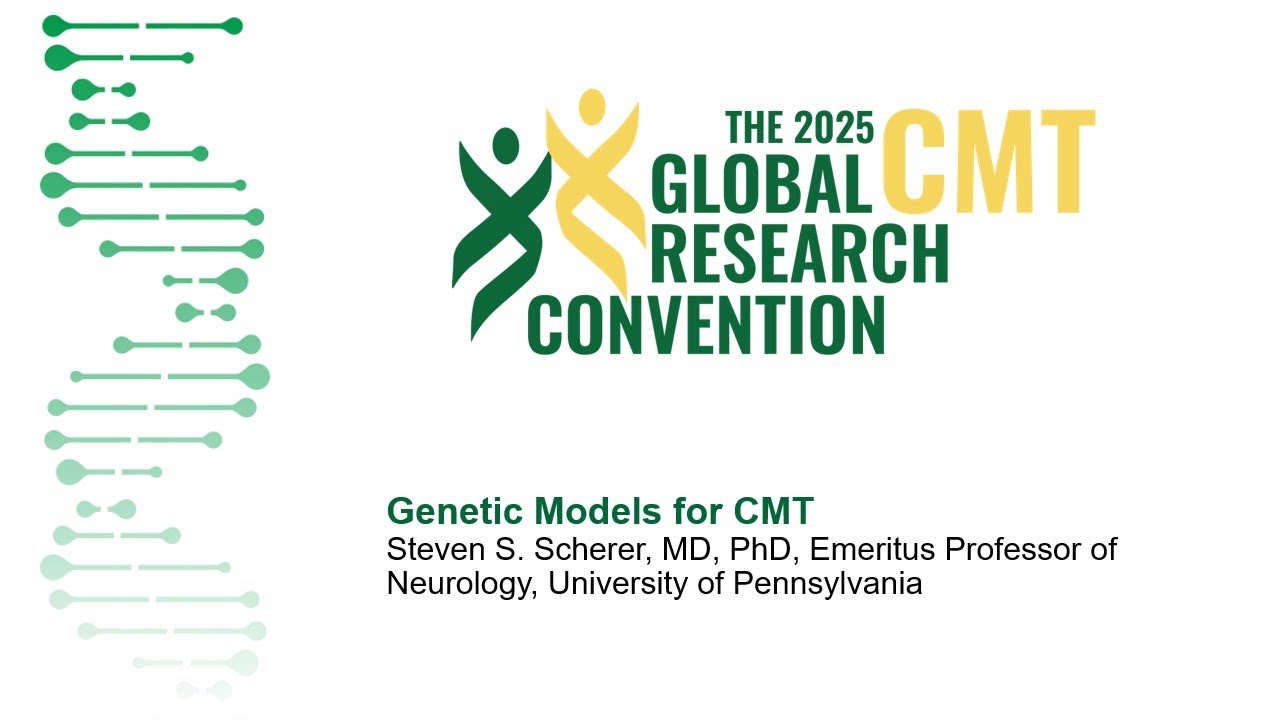Genetic Models for CMT