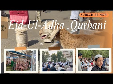 Eid ul Adha 2025 || Qurbani Vibes & Bakra Mandi ||KSA JEDDAH !