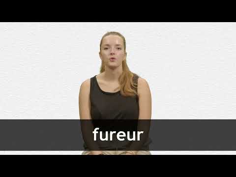 English Translation of “FUREUR” | Collins French-English Dictionary