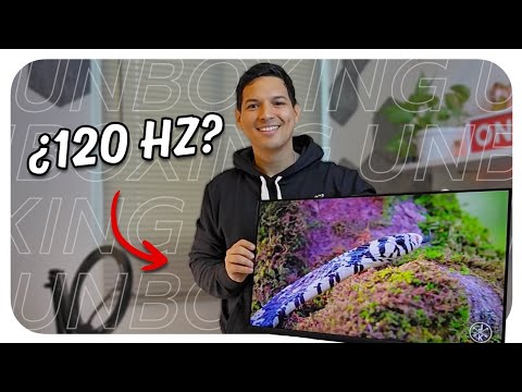 TODO lo que debes saber del Monitor DELL P2422H 💪🏼