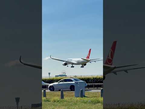 What a place Myrtle Avenue is #aviation #heathrow #planespotting #myrtleavenue