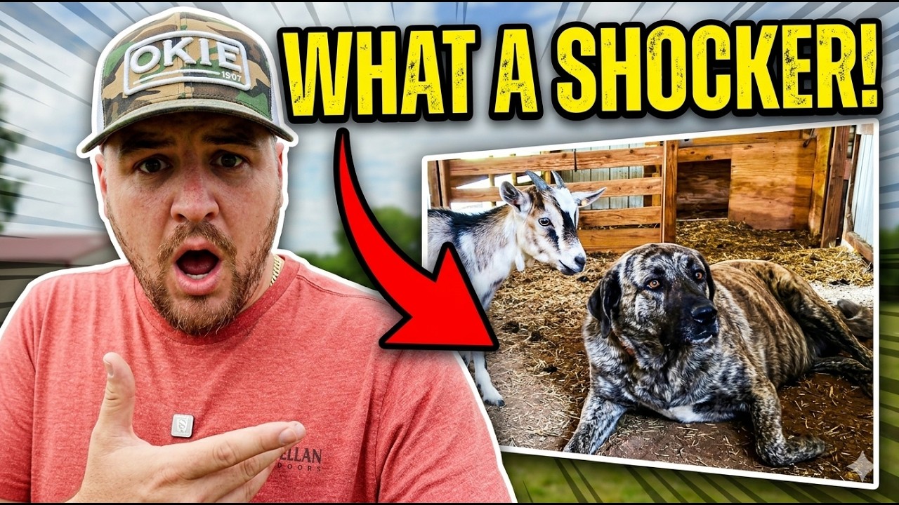 Coming Home To A  SHOCKING SURPRISE We Never Expected!