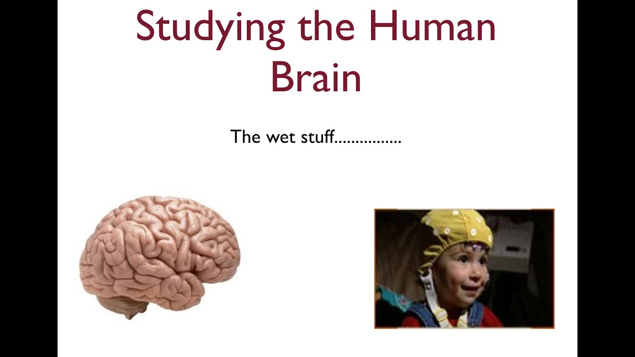 Introduction to Cognitive Science for Undergraduates, Lecture 16