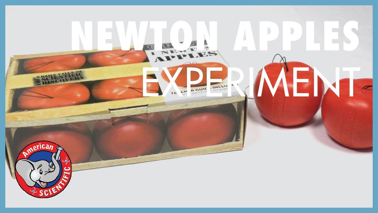 STEM Experiment: Newton Apples
