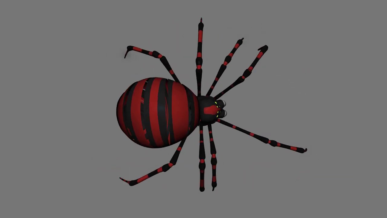 Spider Walk Cycle - Top View