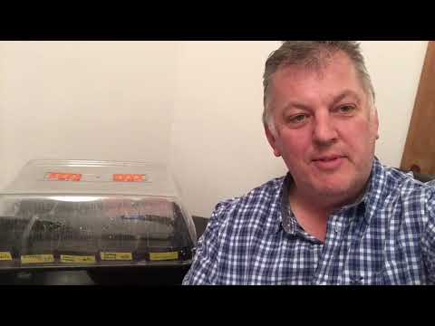 How to Use a Heated Propagator |Gardening for Beginners