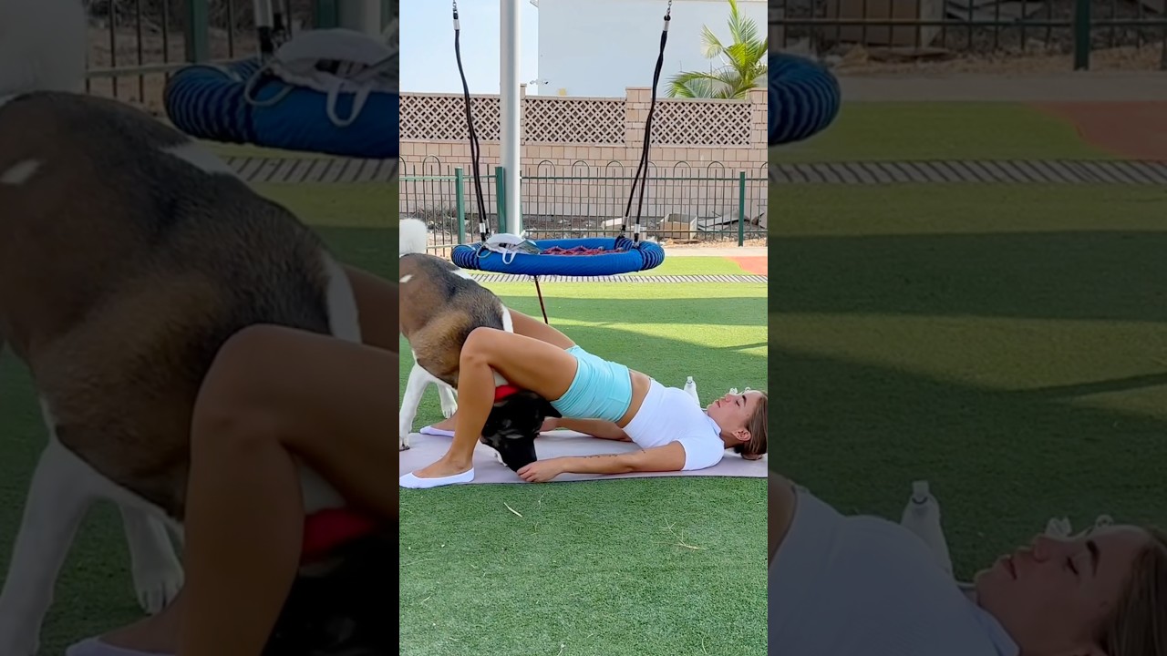 Beautiful Girl vs. Naughty Dog - The Workout Battle! 🐾🏋️‍♀️🤣 #funny #videos #fannyvideo #love