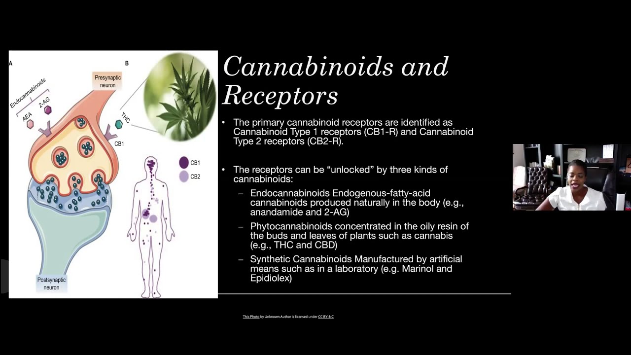 Pain Management and the Latest on CBD Oil