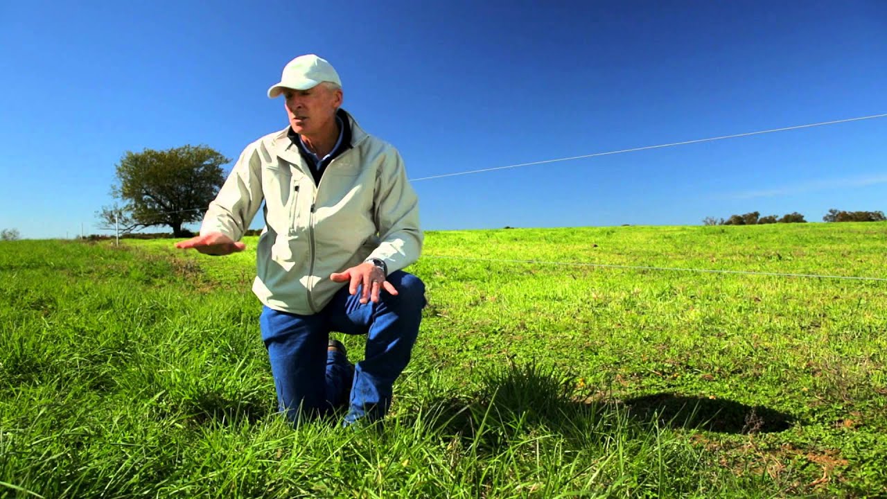 Managing your pasture for optimum grazing levels