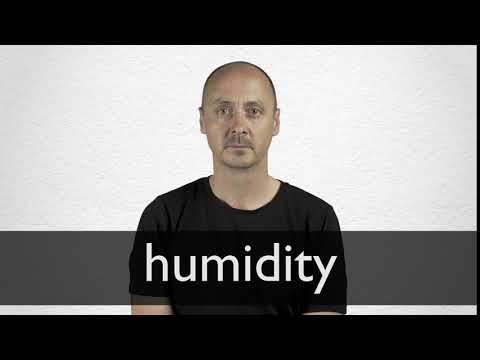 HUMIDITY definition and meaning | Collins English Dictionary
