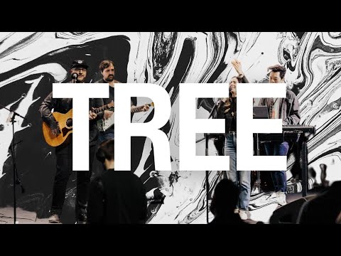 Tree Lyrics - Justin Rizzo