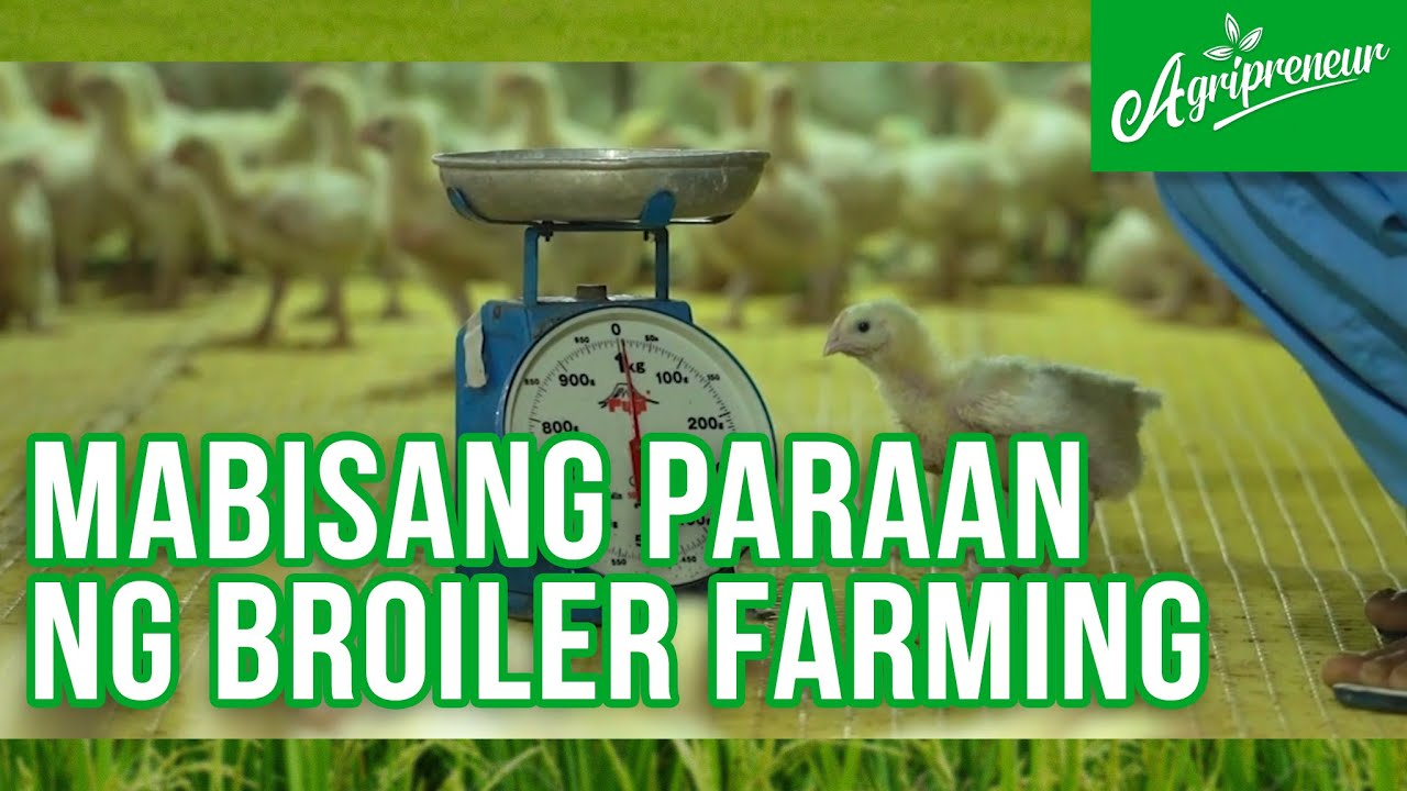 Matuto sa Broiler Farm Management