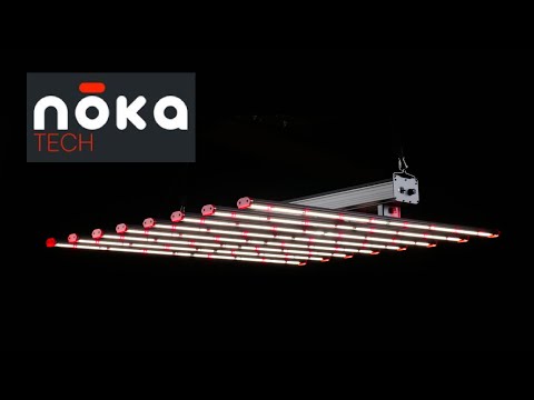 Nokatech FX Pro 1000 LED grow light PAR test and review