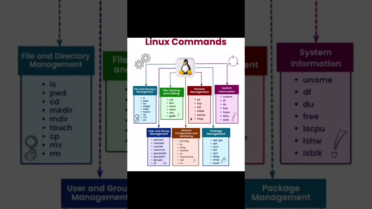 Linux Commands | Learn Linux| Linux from basic to advance #linux #shorts #commands #subscribe #tech