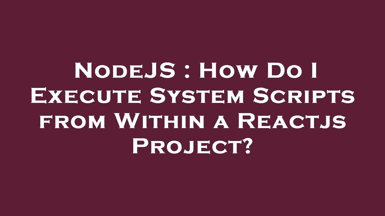 NodeJS : How Do I Execute System Scripts from Within a Reactjs Project?