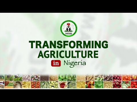 Eps 45: The Impacts of Agricultural Policies in Transforming Agriculture in Nigeria