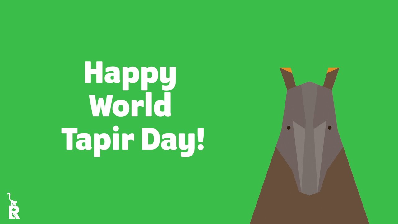 Happy World Tapir Day 2021!