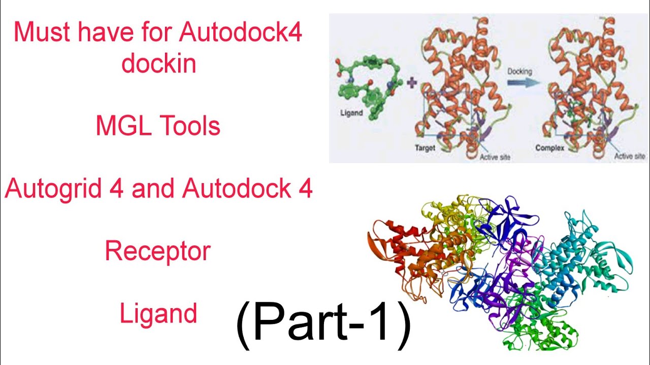 Autodock 4 Docking # Molecular Docking Process by MGL Tools