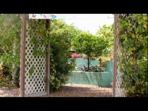 Bradenton's Mixon Fruit Farms