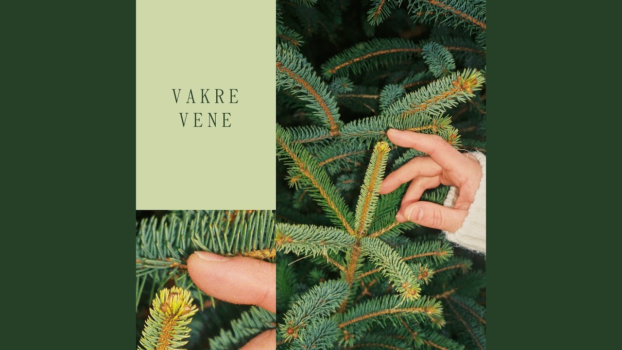 Vakre vene