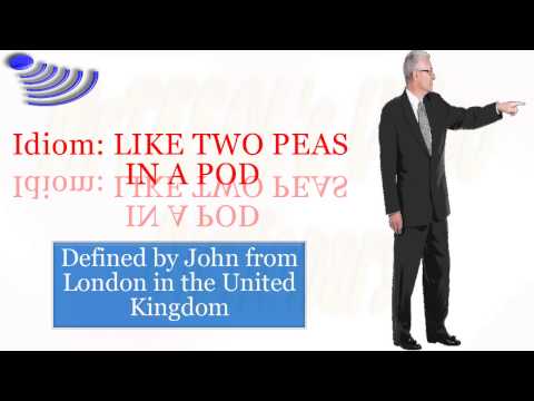 Idiom: LIKE TWO PEAS IN A POD
