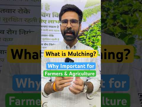 What is Mulching and Importance of Mulching #Mulching #SoilConservation #Soil #Mulch