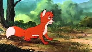 The Fox And The Hound Boomer Hd Dan Geyk Watch HD Mp4 Video Download Free