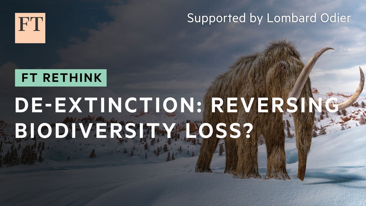 Could technology resurrect the woolly mammoth?  | FT Rethink