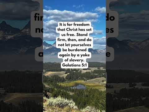 “Stand Firm” Daily Bible Verse #bibleverse #shorts #todaysbibleverse