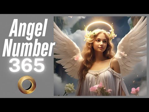 Angel number - 365