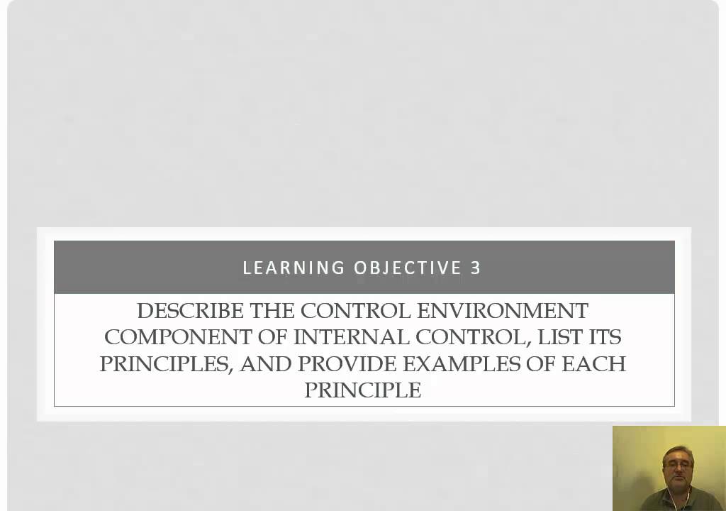 Chapter 3 Lecture 1 COSO