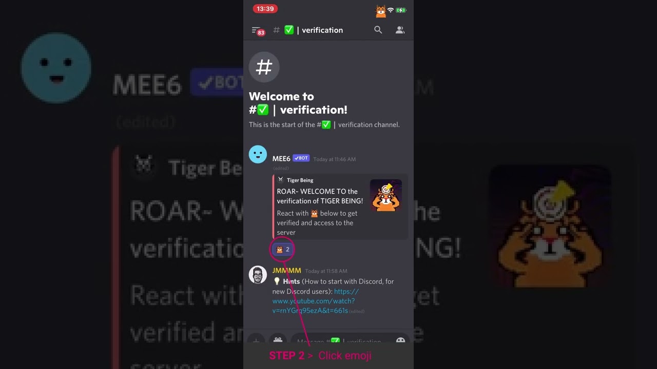 Discord - How to Verify Your Role