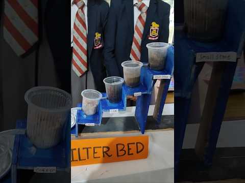Water Filtration System #project #science #diy