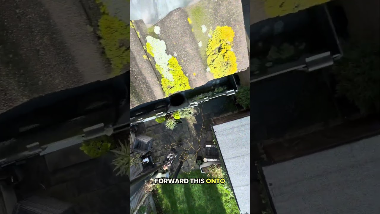 We’re offering FREE Gutter Inspections across the entire BN postcode area. 🏠 #Brighton #Hove #ssx