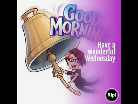 Have a wonderful Wednesday
