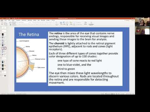 MedTerms Eyes Ears