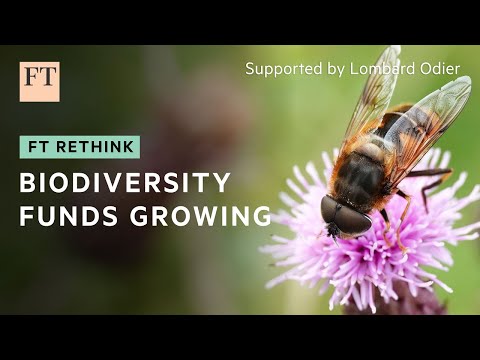 Biodiversity funds are springing up in the investor market | FT Rethink