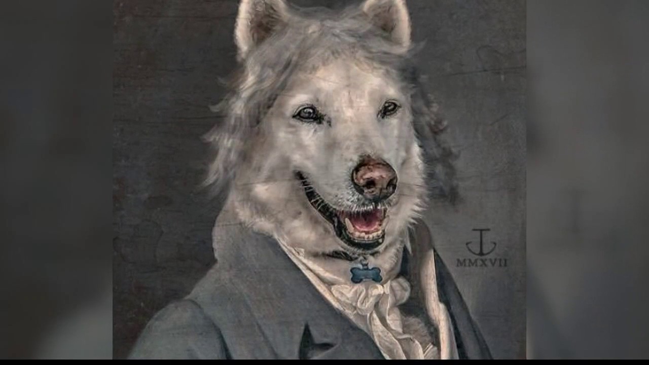 Pet portraits become classic art