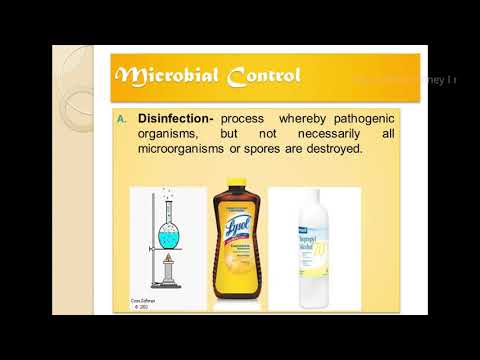 BACTERIAL CONTROL