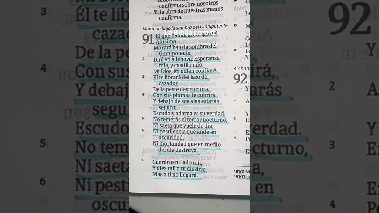 Psalm 91 #Bible #ChristIsComing #Hallelujah