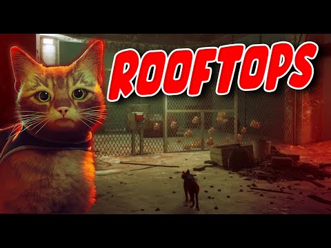 Steam Community :: Video :: Stray How To Complete Rooftops