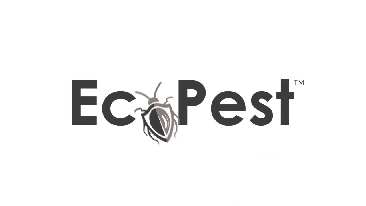 Get Rid of Bed Bugs Infestation | EcoPest Bed Bug Treatment Interceptor Traps, Detectors, Monitors