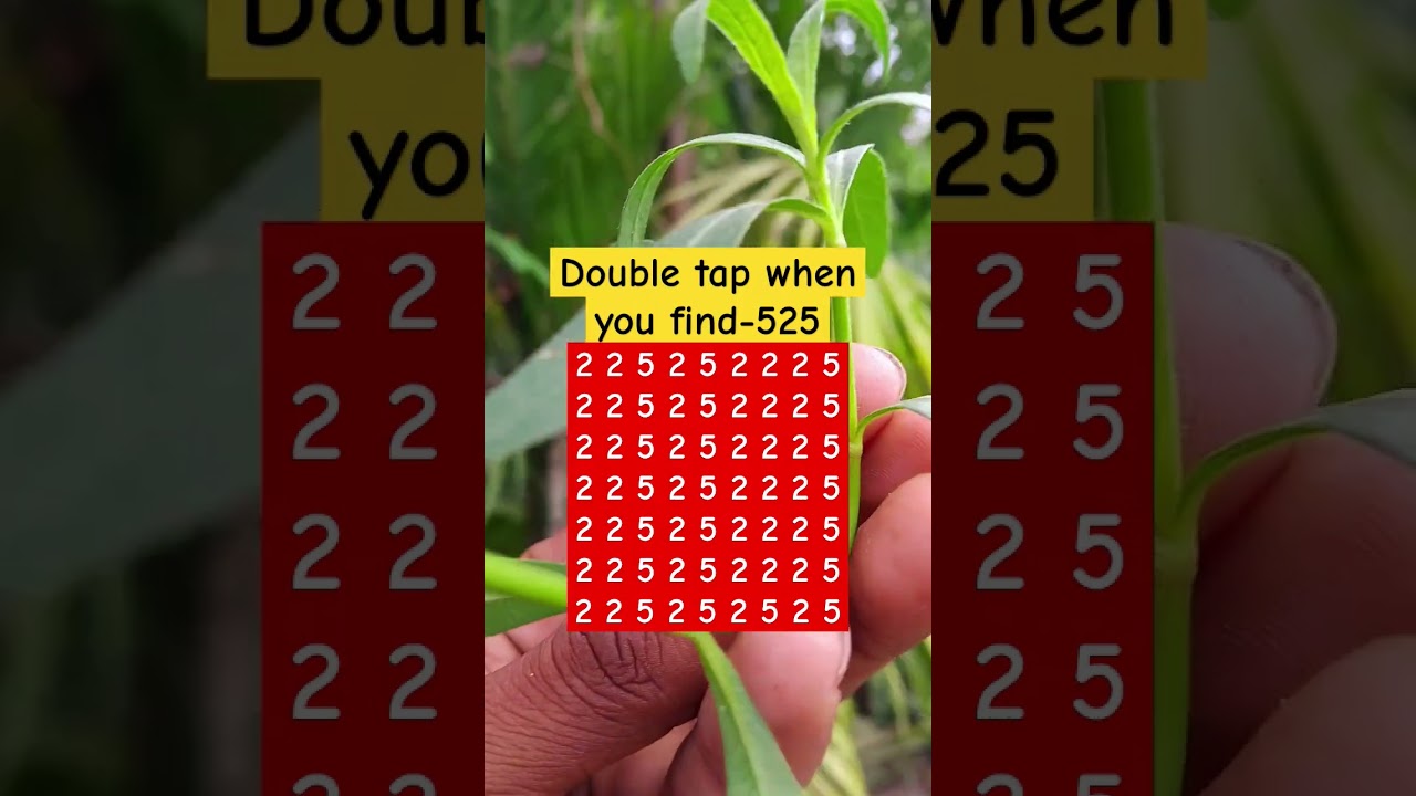 Double tap when you find-525 #shorts #puzzle #search