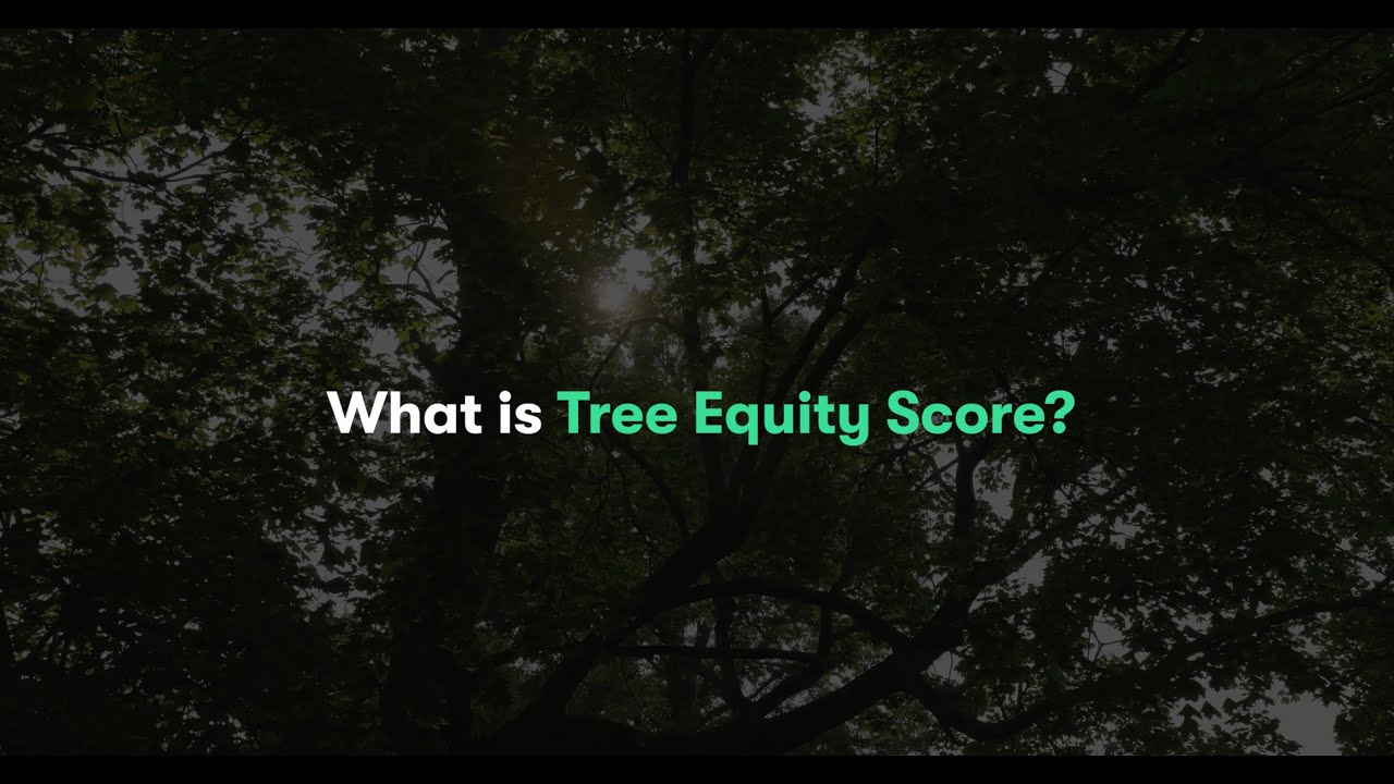How to Use Tree Equity Score: A Step-by-Step Guide